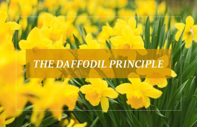 The Daffodil Principle - Proctor Gallagher Institute Insight of the Day