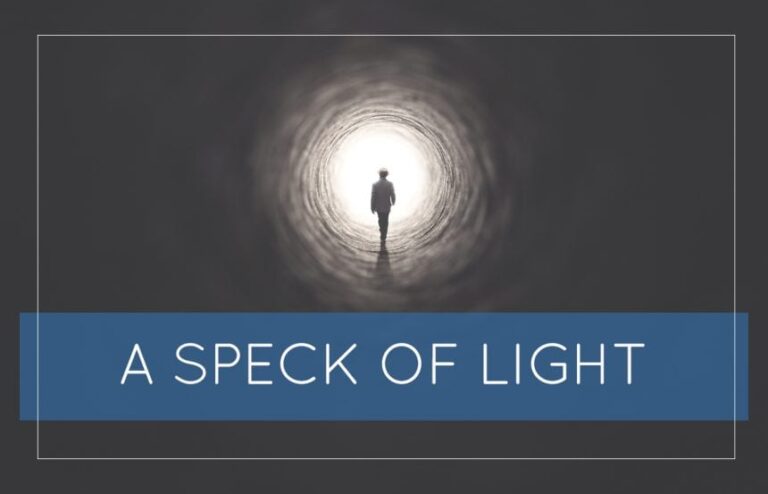 A Speck of Light - Proctor Gallagher Institute