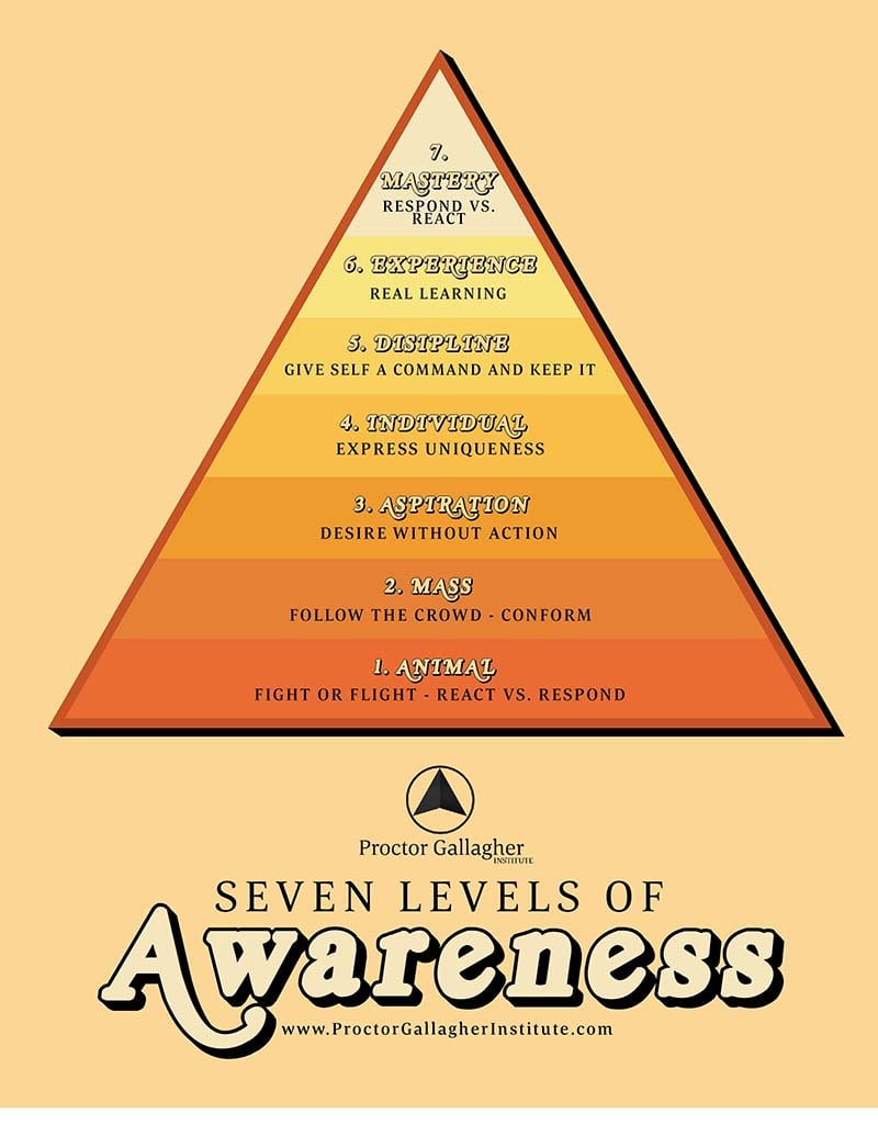 Understanding the Seven Levels of Awareness - Proctor Gallagher Institute