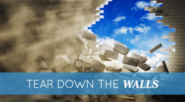 Tear Down the Walls - Proctor Gallagher Institute Growth